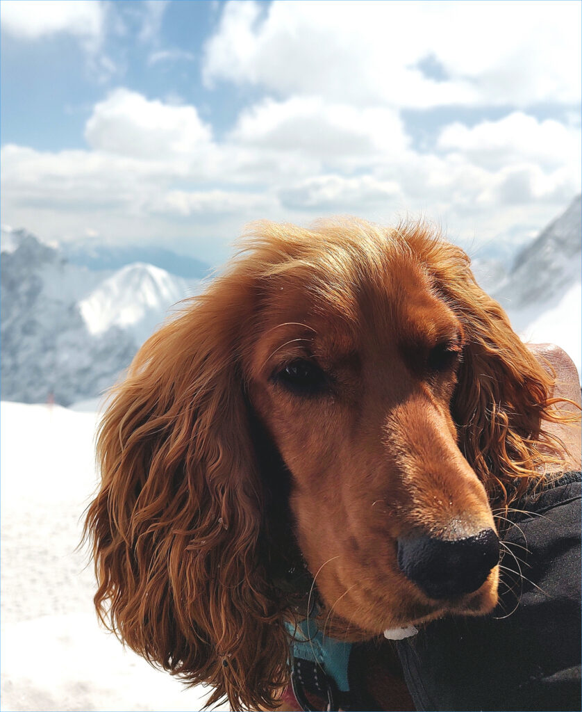 Zugspitze – einmal ganz oben sein – my travel blog – meine selbst ...